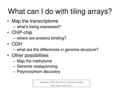 Ppt Tiling Arrays Powerpoint Presentation Free Download Id1275163