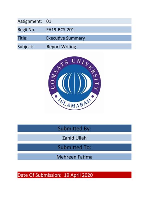 Assignment 01 Reg No Fa19 Bcs 201 Title Executive Summary Subject