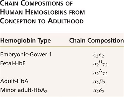 Hemoglobinshtml 14t02 Hemoglobins