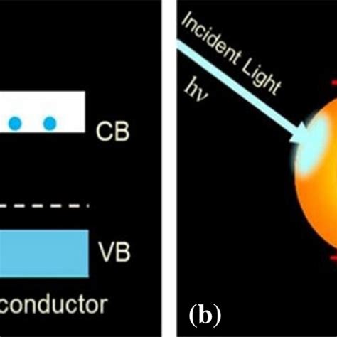 Effect Of Catalyst On Energy Diagram Profile Download Scientific Diagram