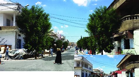 Projects First Proposed Scenario Source Author Download