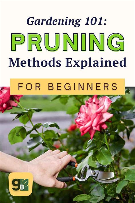 Deadheading To Topping Understanding Different Pruning Methods