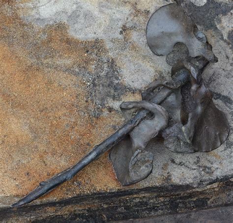 Mass Grave At Ancient Barbarian Battlefield Reveals Gruesome Rituals