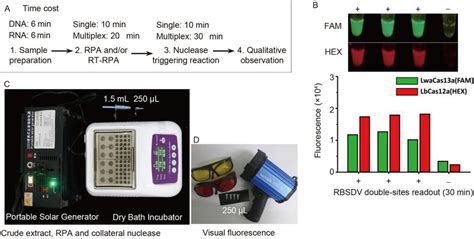Minimal Time And Instrument Requirements For Field Deployable Multiplex Download Scientific