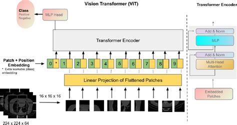 Figure 1 From Using Vision Transformers In 3 D Medical Image Classifications Semantic Scholar