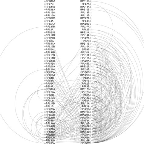 prevalence of gene conversion in coding regions and noncoding regions