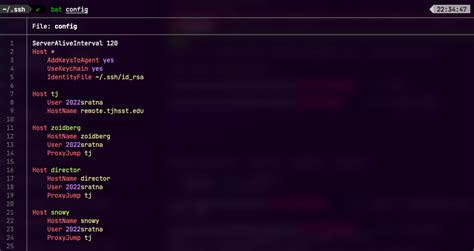 Bat Mishighlights Users That Start With Digits In SSH Config Issue Sharkdp Bat GitHub