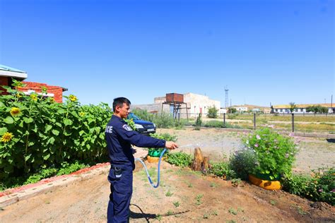 Тарьсан мод цэцгээ малд идүүлэхээс хамгаалах том ажил бий