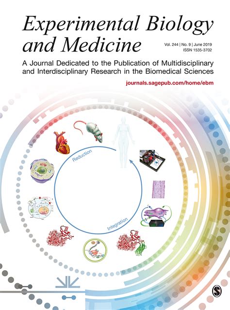 Il 25 Contributes To Lung Fibrosis By Directly Acting On Alveolar Epithelial Cells And