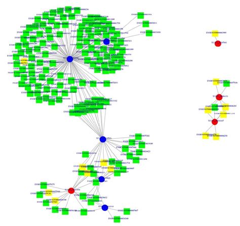 Co Expression Network Of 230 And 10 Differentially Expressed De Long
