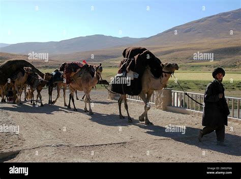 Chaghcharan Ghor Province Afghanistan A Man With A Turban And A