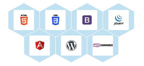 web development shiv tech geeks