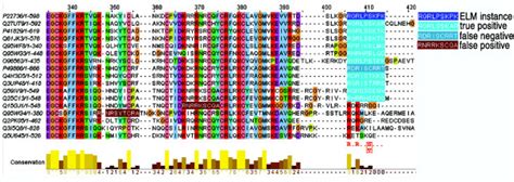 Example Alignment In Balibase Reference Set 9 Part Of An Alignment