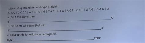 solved dna coding strand for wild type β globin a ﻿dna