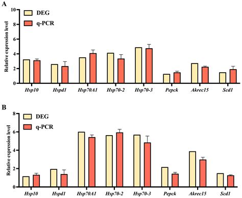 Genes Free Full Text Comparative Transcriptome Analysis Of Galeruca