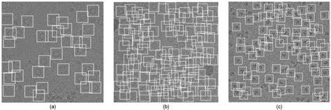 deepcryopicker fully automated deep neural network for single protein