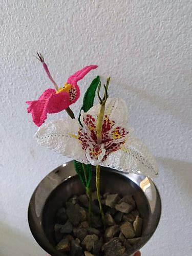 Ravelry Iris Tigridia Tiger Iris Pattern By Leticia Lebron