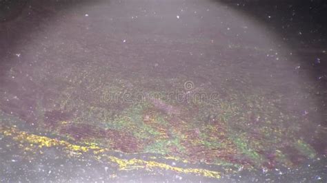 Simple Squamous Epithelium Sec Filmed Under Microscope With 100 Times