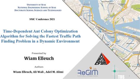 Time Dependent Any Colony Optimization Algorithm For Solving The