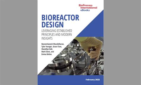 Validation Risk Assessment Of Buffer And Solution Mixing
