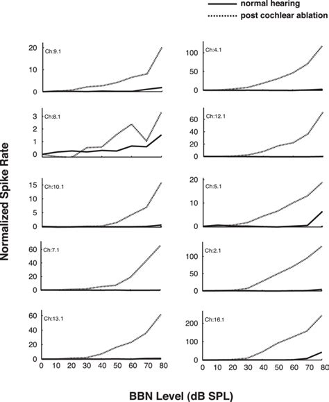 Rate Level Functions For 10 Sorted Single Units In The Left Vcn Of 1 Download Scientific
