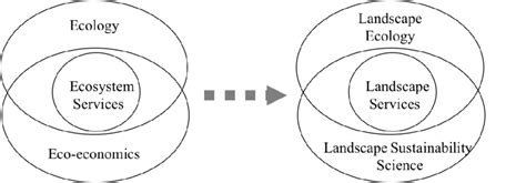 Chart Of Relationship Between Ecosystem Services And Landscape Download Scientific Diagram