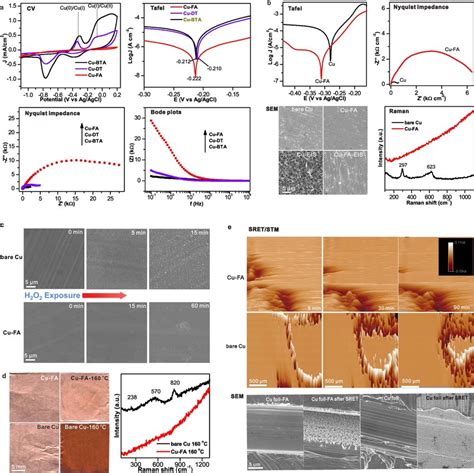 Comparison Of Anti Corrosion Performance Of Cu Fa With Cu Foils With Download Scientific