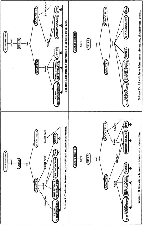 Conceptual Schemes On Location Of Inheritance Information Download