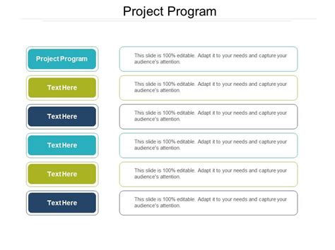 Project Program Ppt Powerpoint Presentation Slides Format Cpb