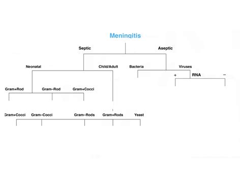 Meningitis Flowchart Quiz