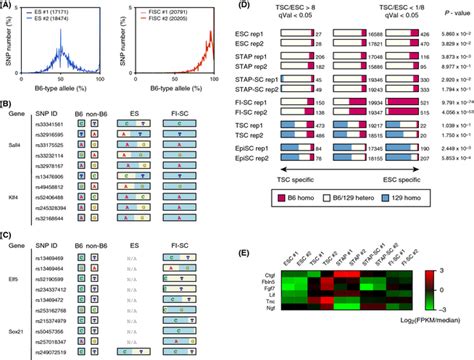 Quality Control Method For Rna Seq Using Single Nucleotide Polymorphism Allele Frequency Rna