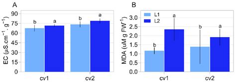 Biochemical Properties In Two Commercial Cultivars Cv1 Brs133 And Download Scientific Diagram