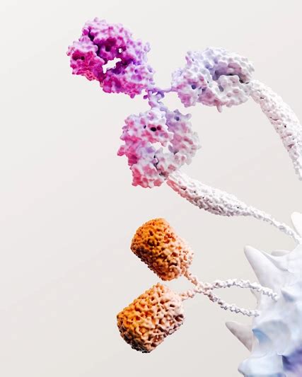 Positive Ruby Phase Iii Data Show Potential For Jemperli Dostarlimab Combinations In More