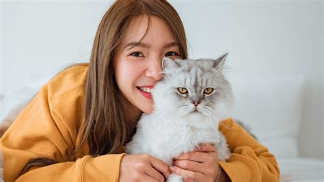 11 Concrete Signs You Have A Soul Connection To Your Pet Yourtango