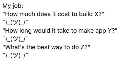 my job as a client facing technical architect r programmerhumor