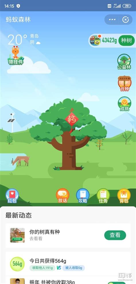 支付宝蚂蚁森林浇水可以得红包了 蚂蚁森林 红包 新浪科技 新浪网