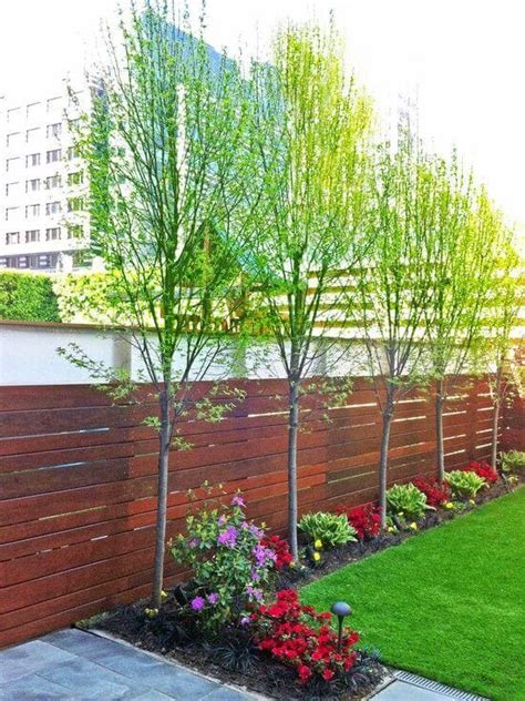 How To Use Setback Space In Residential Buildings Happho
