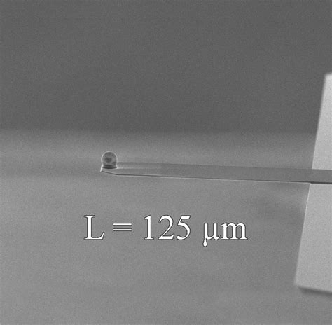 Sqube Colloidal Afm Probes Catalog