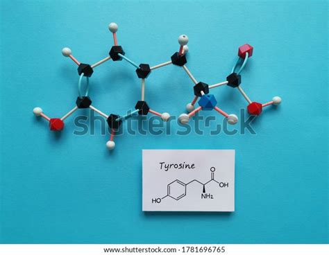 Molecular Structure Model Structural Chemical Formula Stock Photo Shutterstock
