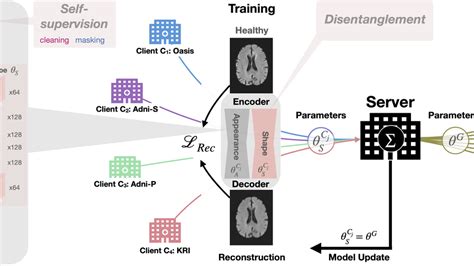 Deep Federated Learning In Healthcare Albarqouni Lab