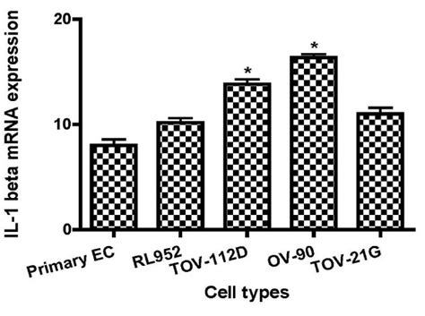 Graphical illustration of IL 1β IL 1β gene expression in EC and Download Scientific Diagram