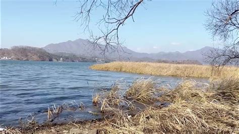 스트레스 해소심신 안정 편안한 수면 마음을 차분하게 해주는 소리 Youtube