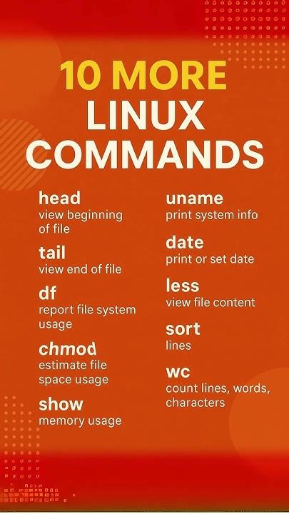 essential linux commands in 60 seconds 🖥️ youtube