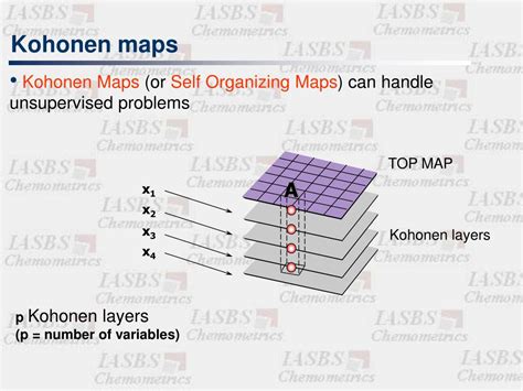 Ppt Kohonen Maps And Counterpropagation Artificial Neural Networks