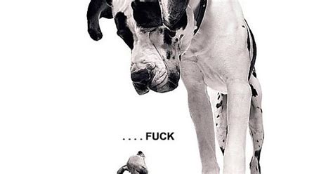 Humor And Graphic Imgur