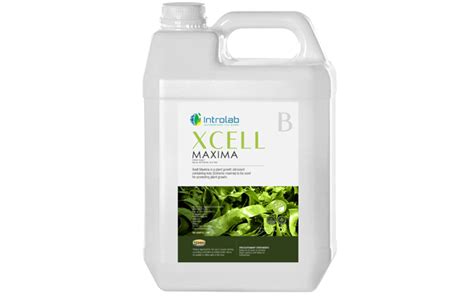 Xcell Maxima Introlab Xcell Maxima Introlab