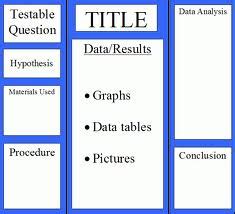 Hypothesis My Project