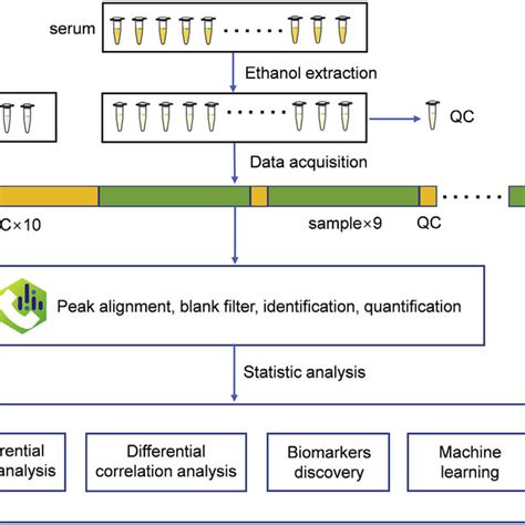 An Overview Of The Experimental And Computational Procedures Of The Download Scientific Diagram