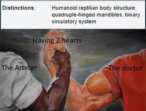 Binary Vascular System