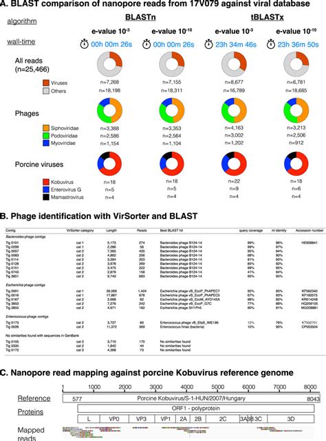 Sequencing Of Sample 17v079 With Minion A Taxonomical Identification Download Scientific